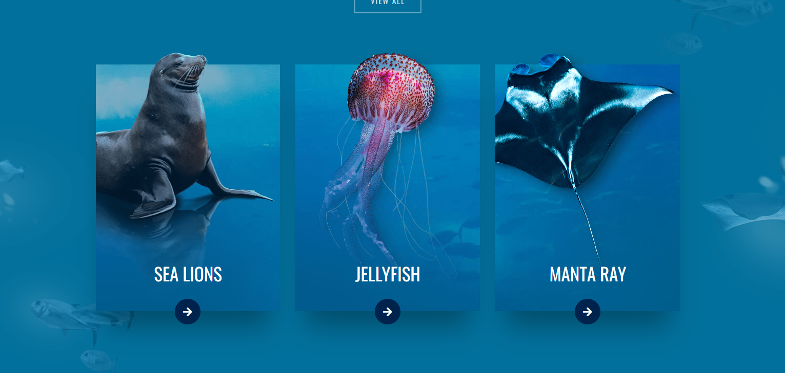 GitHub - nikhilxifer/aquarium