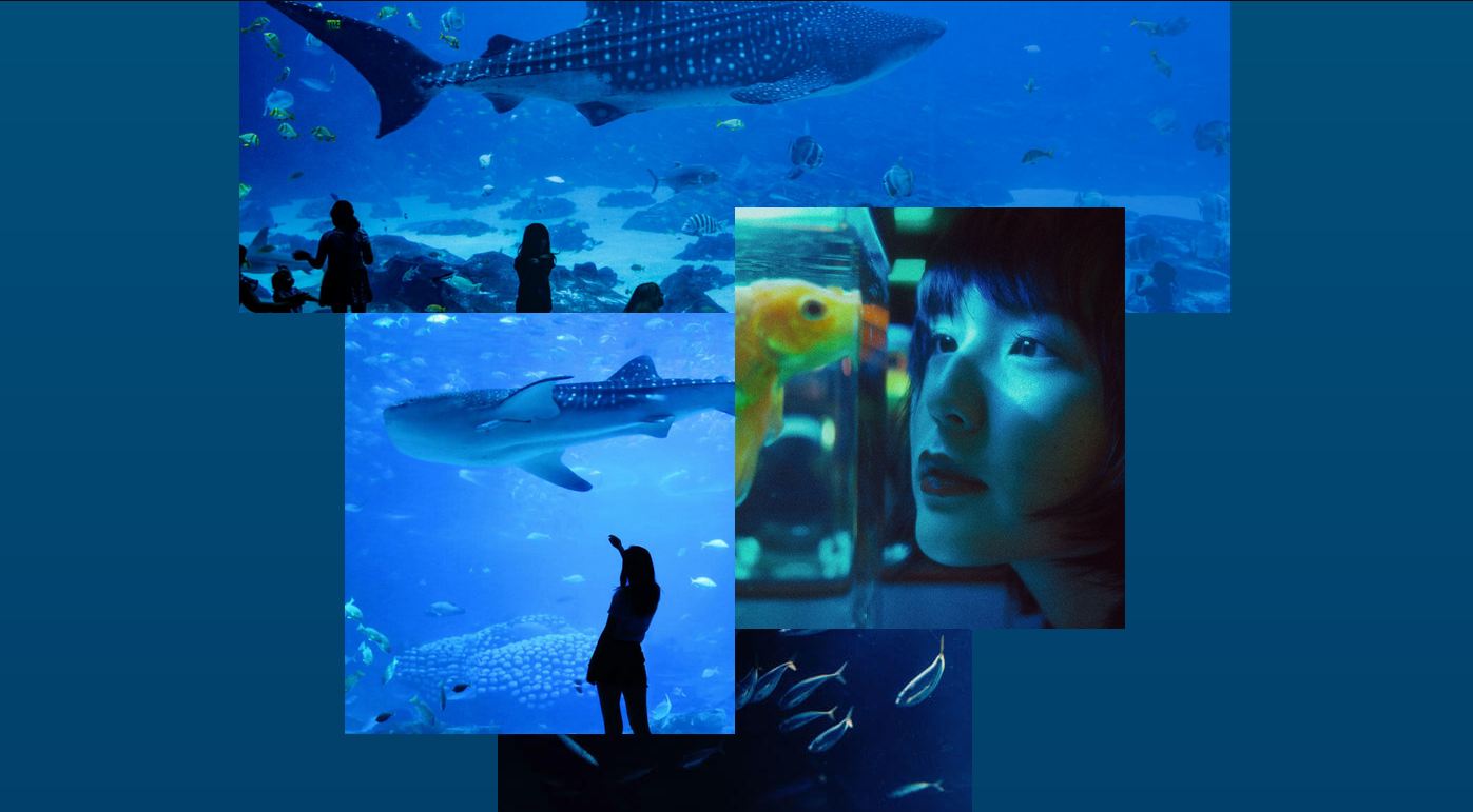 GitHub - nikhilxifer/aquarium