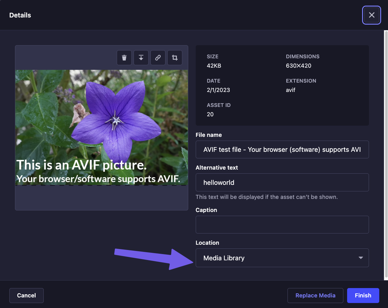 Can not update media folder · Issue #15722 · strapi/strapi · GitHub