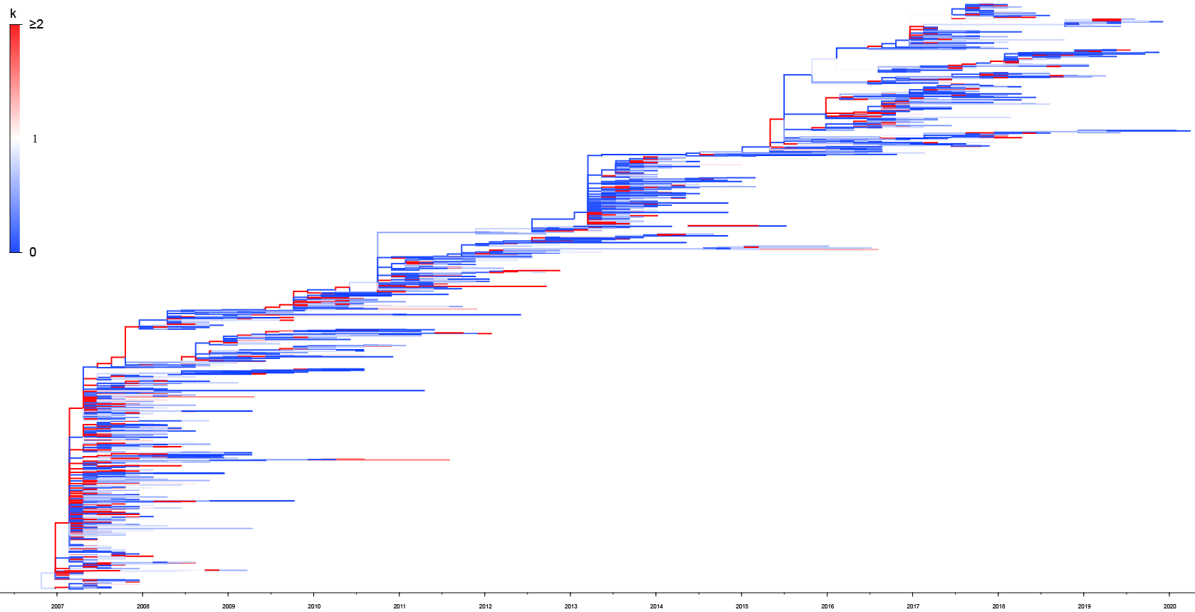 The selection seem to be intensified near the root but relaxed far away from the root in my time ...