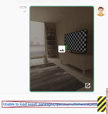 Asset not found on chat screen · Issue #6 · qiscus/qiscus-multichannel-widget-flutter · GitHub