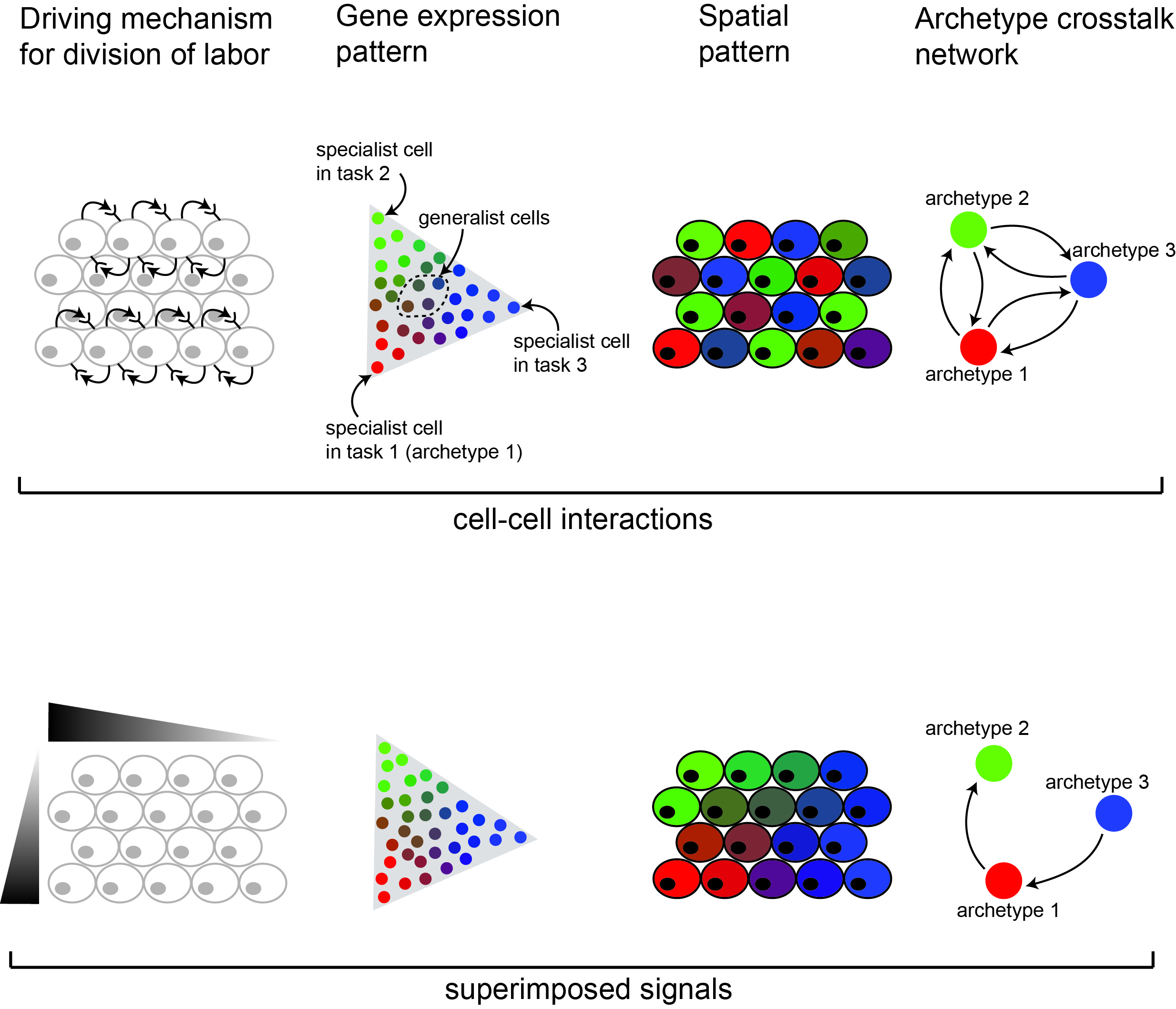 GitHub - nitzanlab/pareto_interactions_py