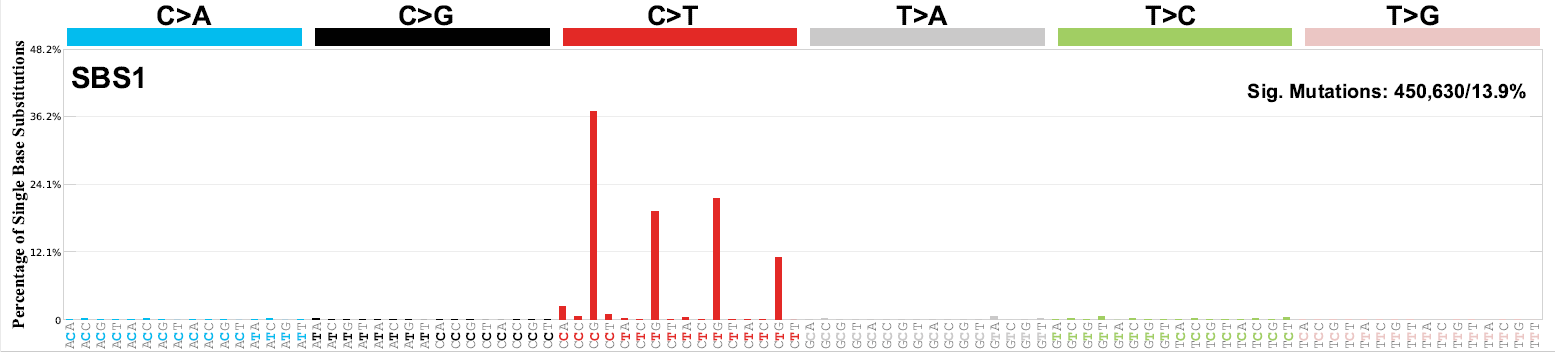 Bug in 96 plot tri-nucleotide context naming? · Issue #195 · AlexandrovLab/SigProfilerExtractor ...