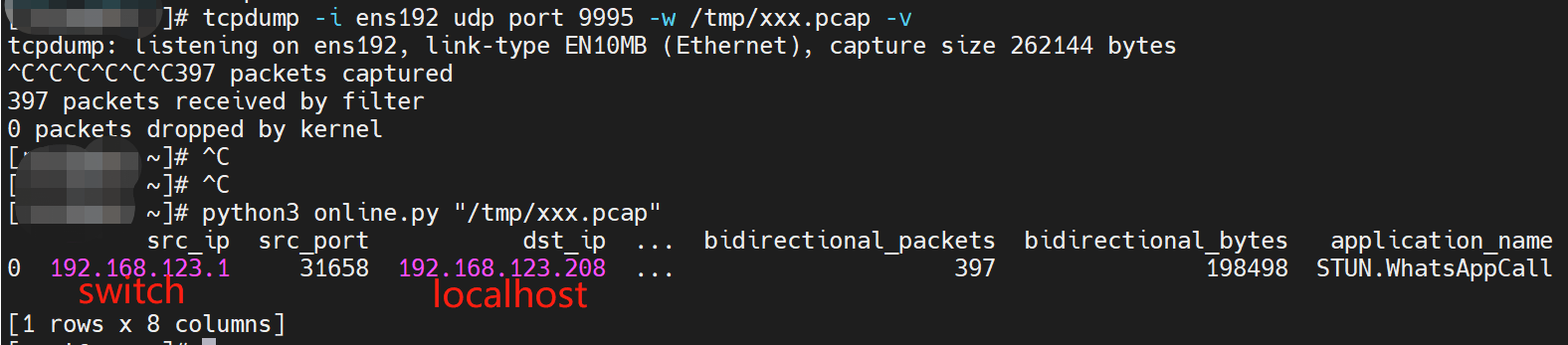 How to collect NetFlow data from switch? · nfstream nfstream · Discussion #63 · GitHub