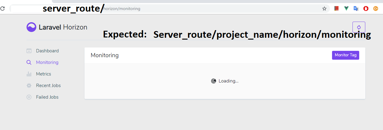 Route not found · Issue #592 · laravel/horizon · GitHub