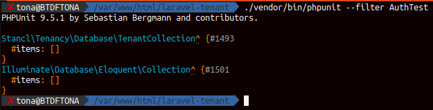 Tenant could not be identified on domain tenancy · Issue #464 · archtechx/tenancy · GitHub