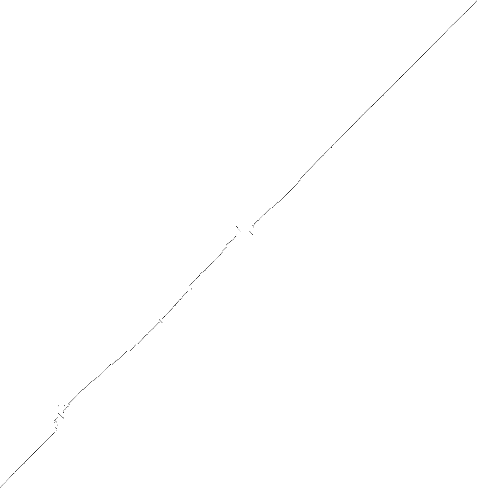 Empty result when using contig mode · Issue #1 · xjtu-omics/SVision · GitHub