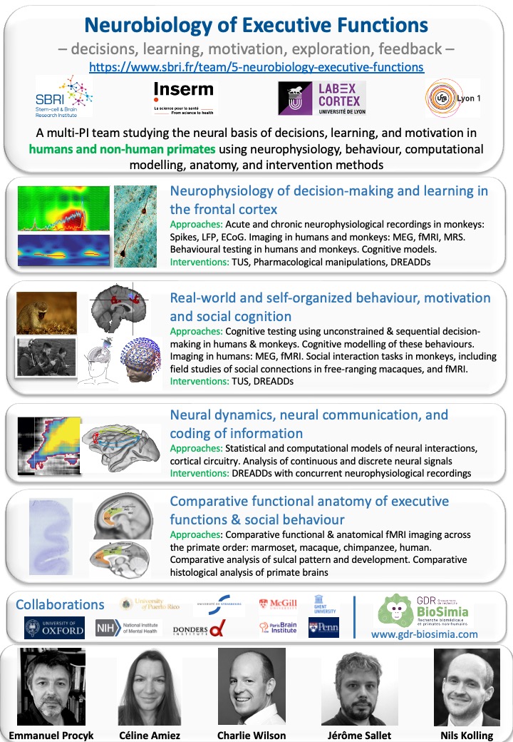 NEF Team at SBRI Lyon · GitHub