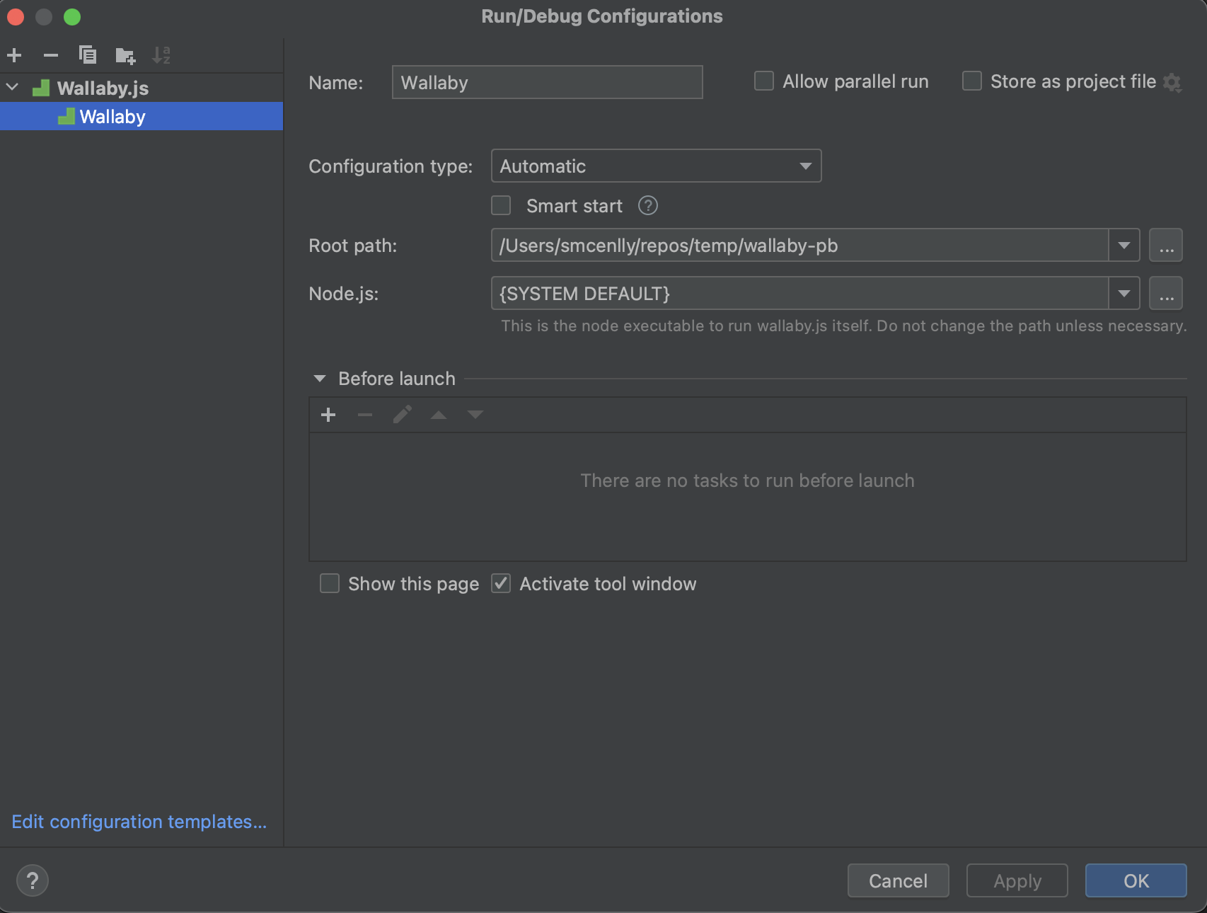 Wallaby not starting in Webstorm / NX : Error starting wallaby.js server, Cannot run program ...