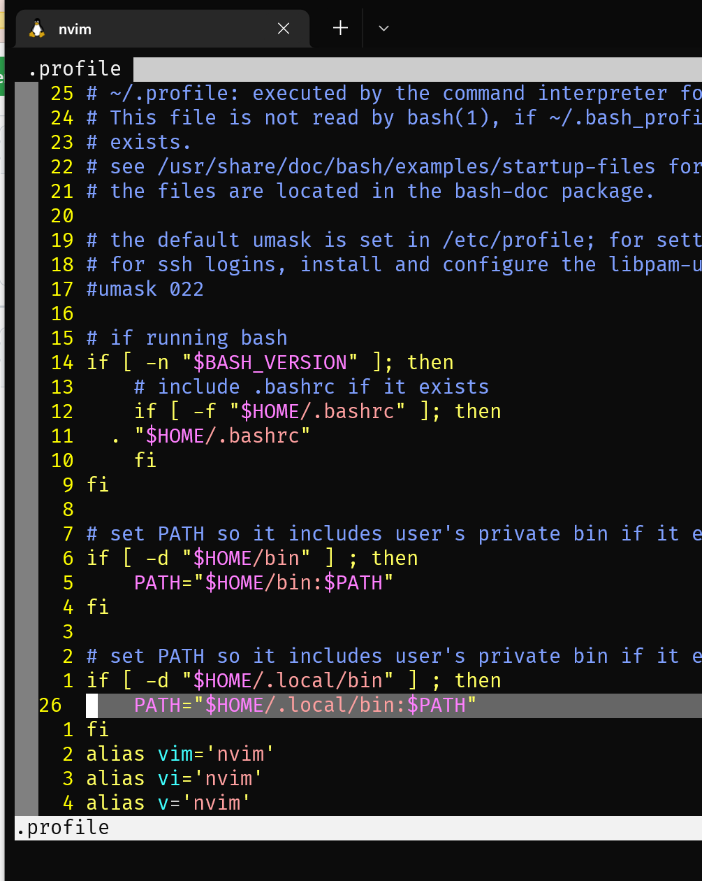 设置keybindings 不生效 · Issue #32 · nshen/learn-neovim-lua · GitHub