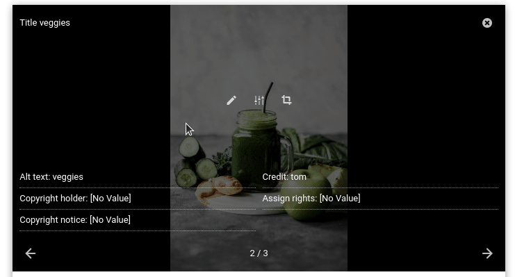 Iconbutton Tooltip Doesnt Disappear When Button Switches To Disabled