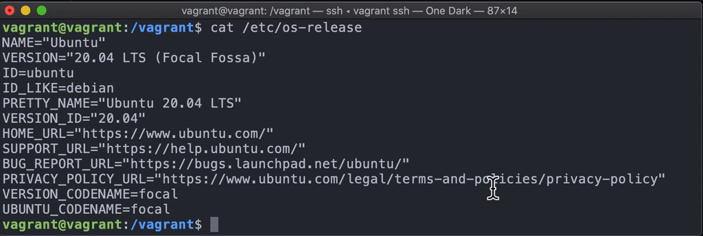 Control-C issues duplicate signals to container · Issue #1151 · docker-archive/compose-cli · GitHub