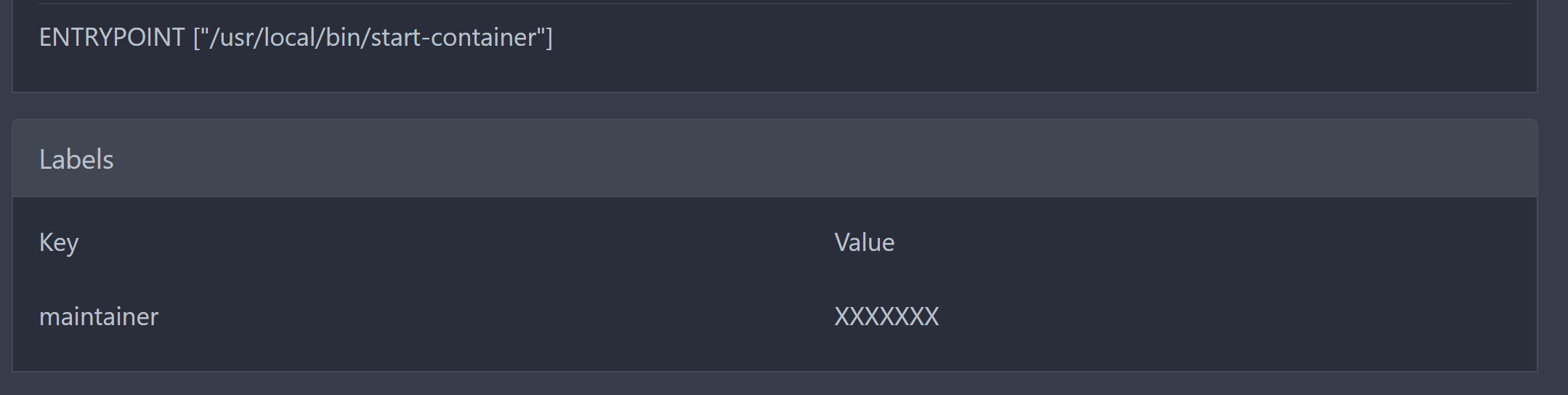 Container Registry Config View · Issue #22283 · go-gitea/gitea · GitHub