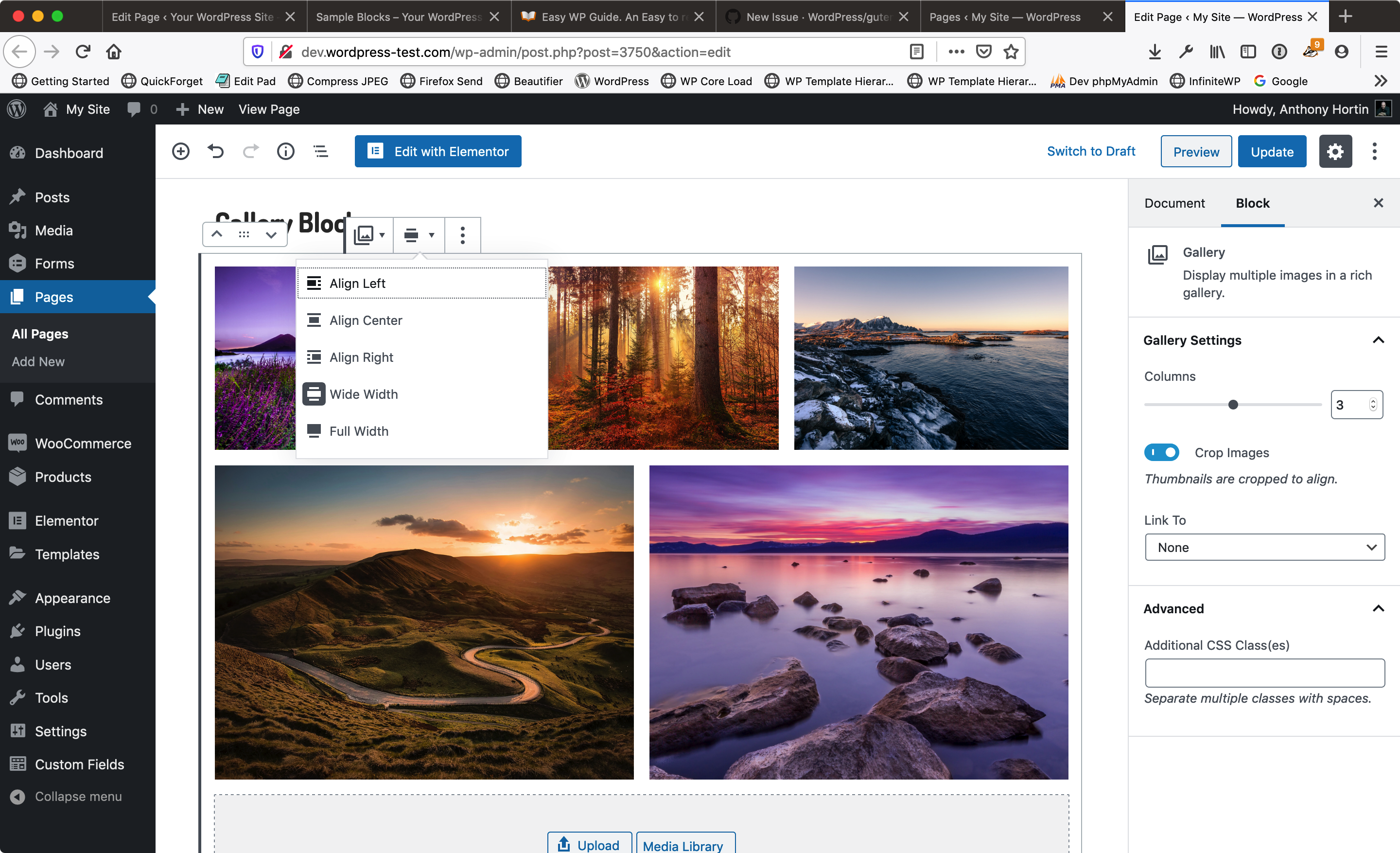 Too many inconsistencies with how Block displays on front-end, in the ...