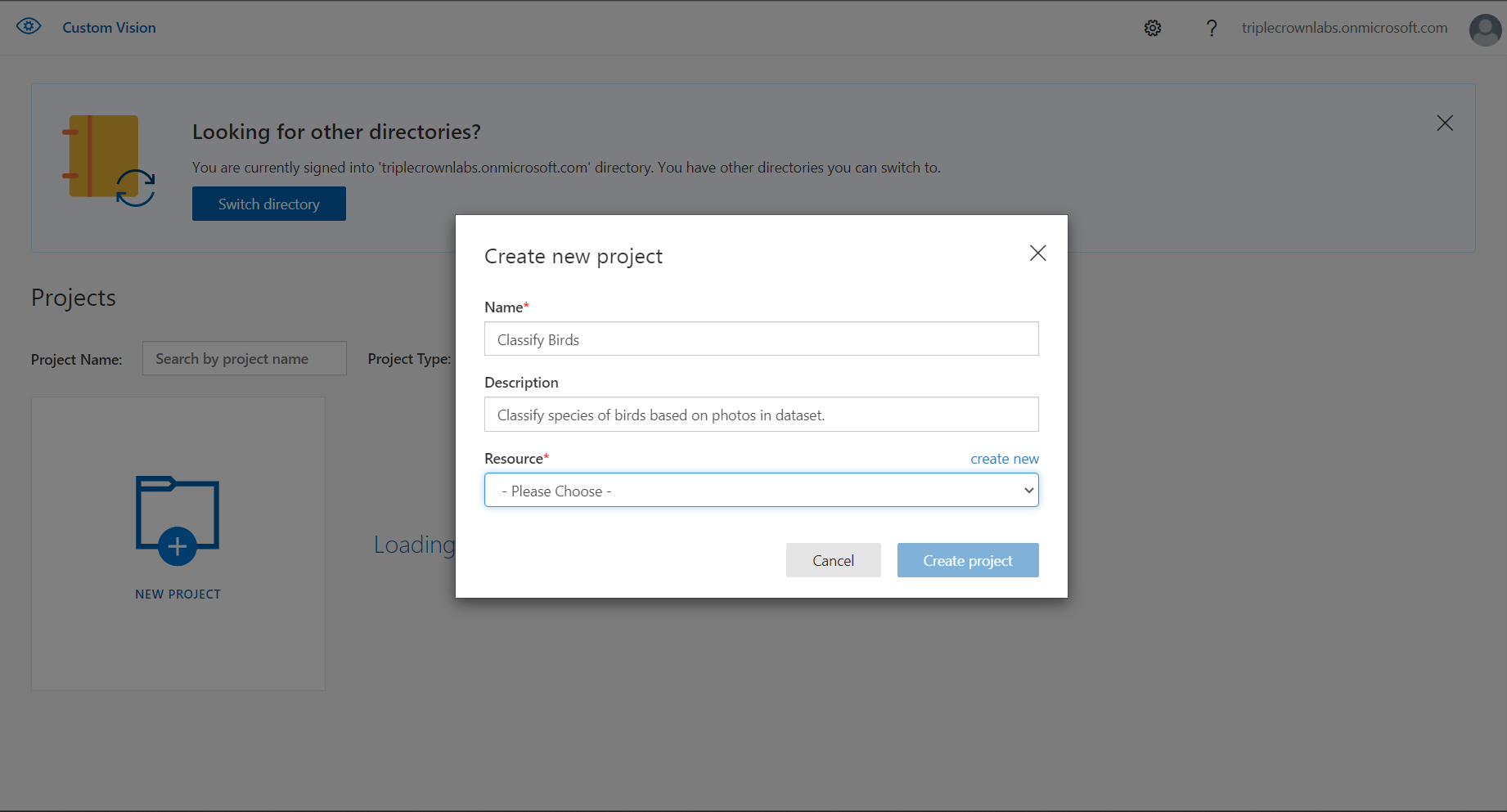 The Custom Vision portal doesn't show the already created resource ...