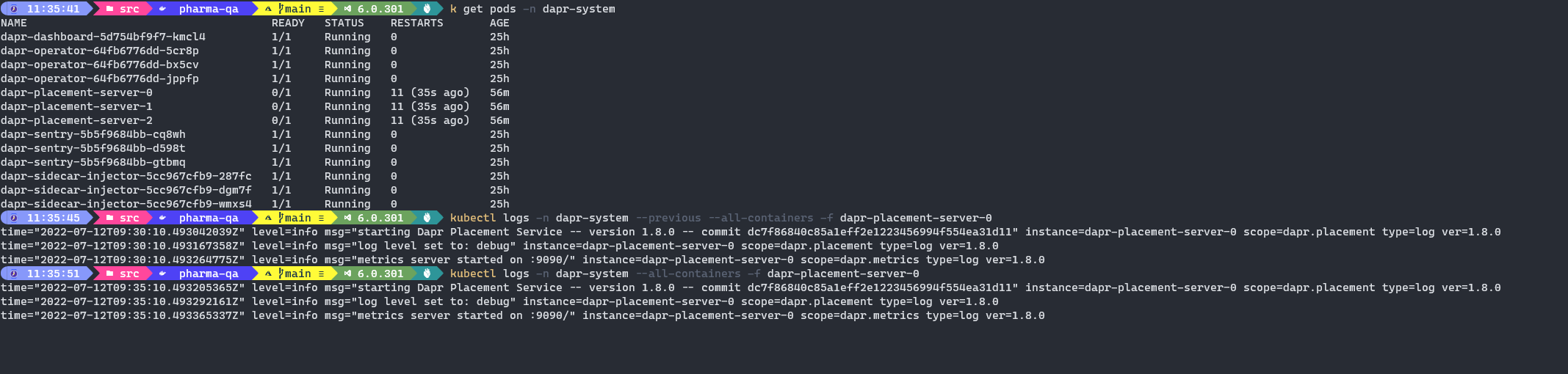 Darp placement - Raft and Health are not started. · Issue #4892 · dapr/dapr · GitHub