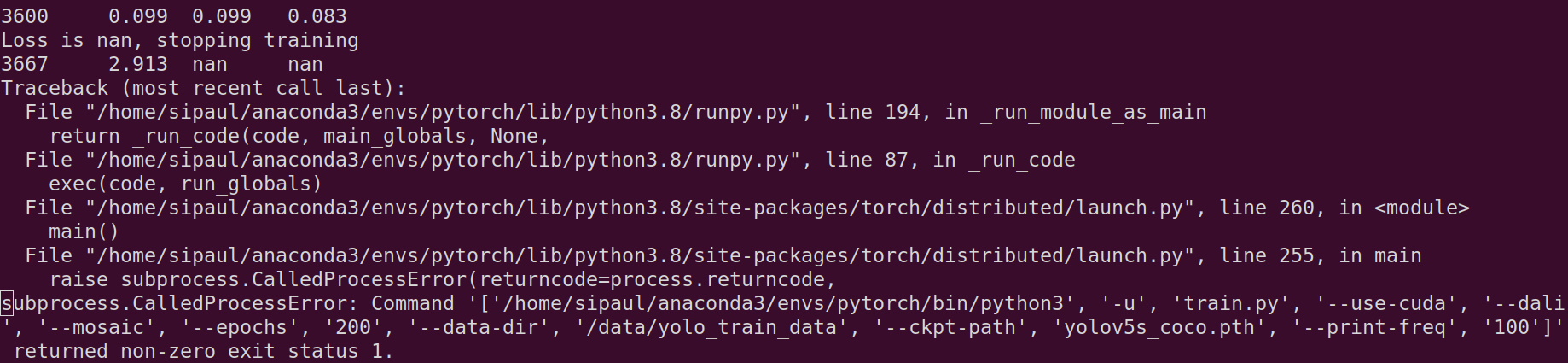 loss value is nan and training gets stopped · Issue #10 · Okery/YOLOv5-PyTorch · GitHub