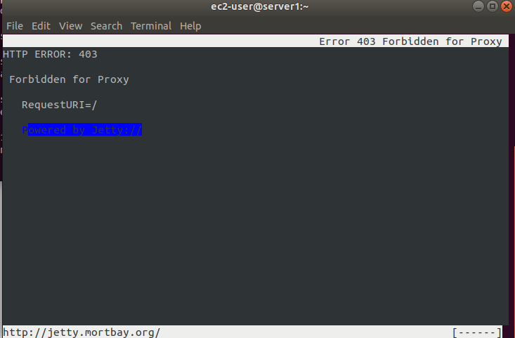 Looks like url "http://localhost:4444" is occupied by something else than Selenium server ...