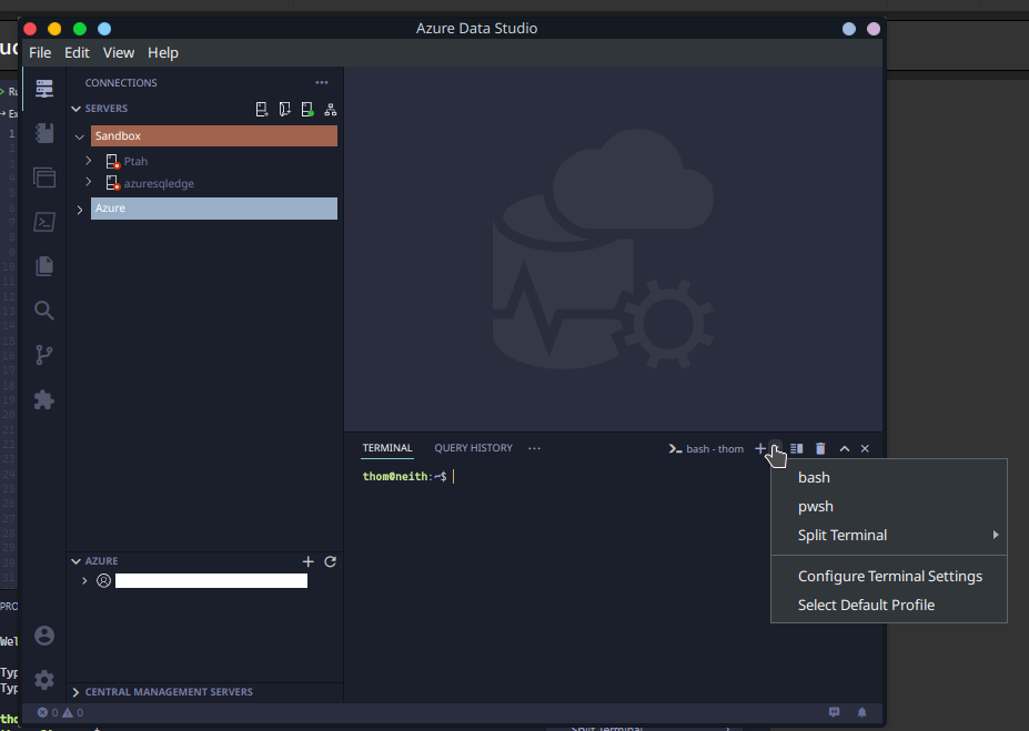 Add Azure Cloud Shell to terminal drop down options · Issue #22584 · microsoft/azuredatastudio ...