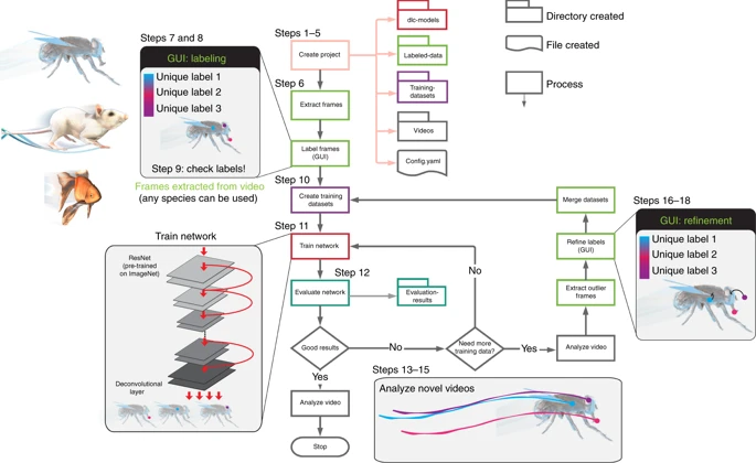 Label_iteration_evaluation results -- refinement · Issue #531 · DeepLabCut/DeepLabCut · GitHub