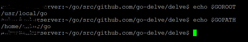 Ubuntu - Command 'dlv' not found · Issue #1831 · go-delve/delve · GitHub