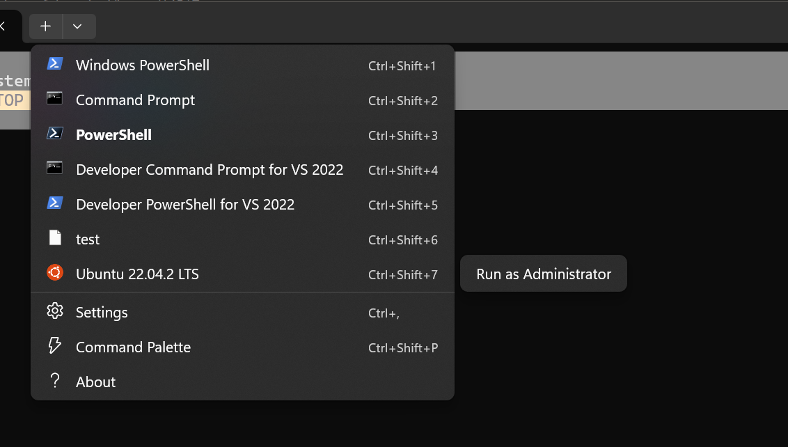Launch elevated Terminal profile without a keyboard · Issue #14517 · microsoft/terminal · GitHub