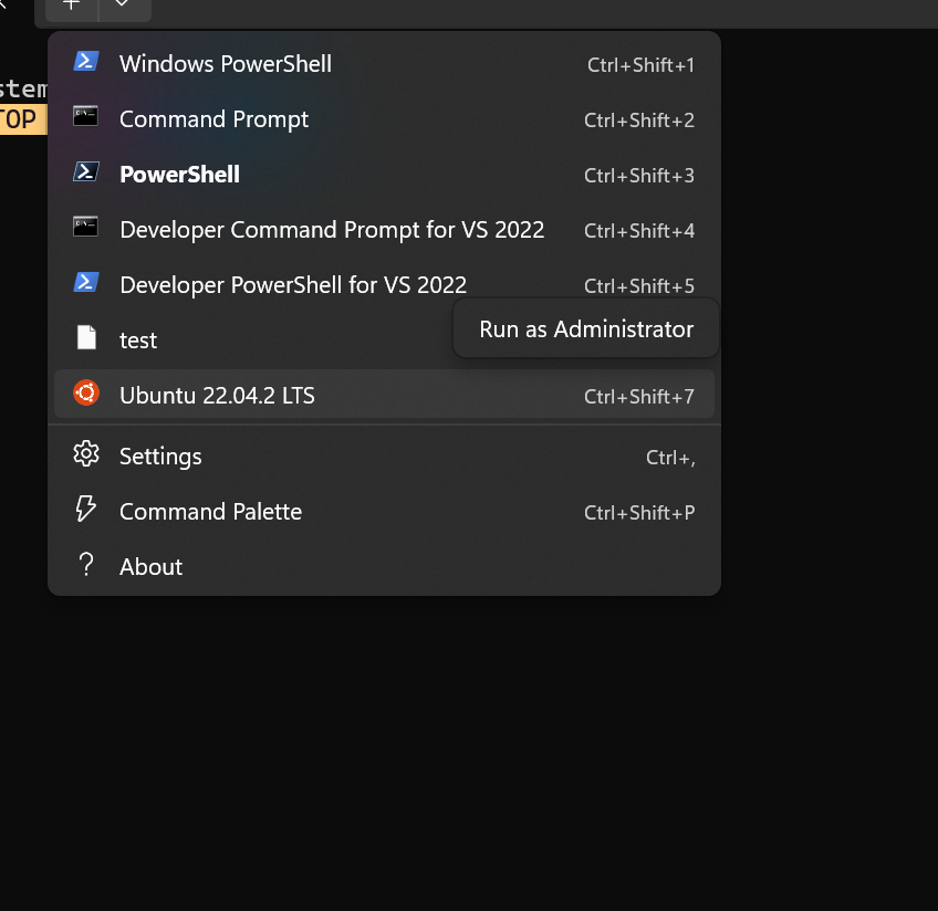 Launch Elevated Terminal Profile Without A Keyboard · Issue 14517 · Microsoftterminal · Github