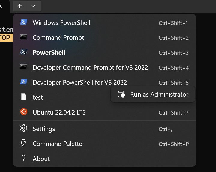 Launch elevated Terminal profile without a keyboard · Issue #14517 · microsoft/terminal · GitHub