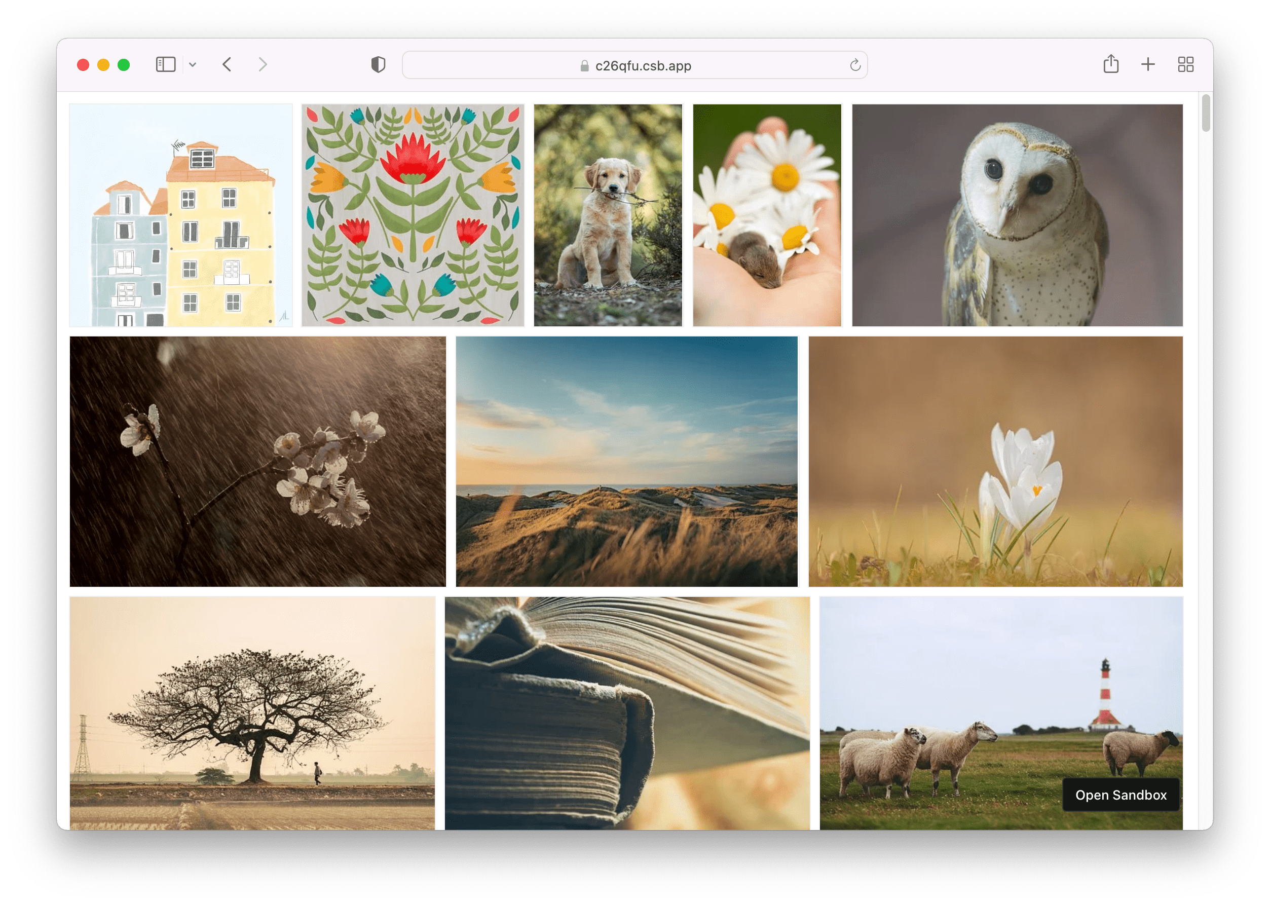 React flex images yh Npm