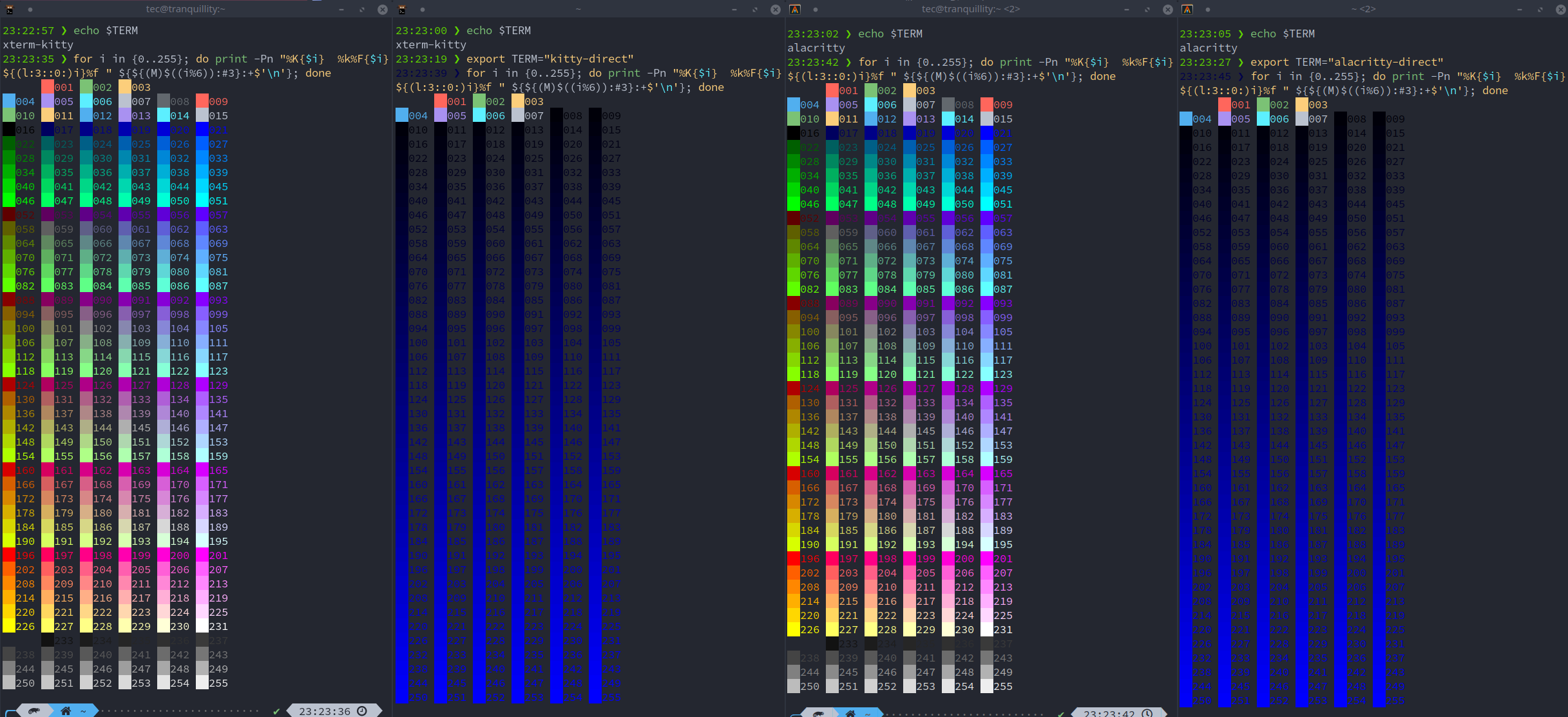 Incorrect Colours In diresct Terminals truecolor Terminfo Issue incorrect-colours-in-diresct-terminals-truecolor-terminfo-issue