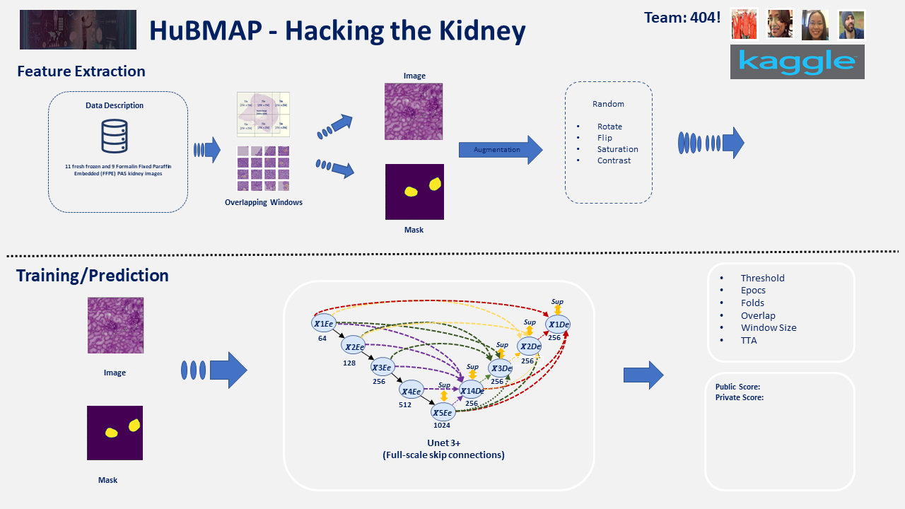 GitHub - wbgreen0405/HuBMAP---Hacking-the-Kidney: Code for the Kaggle challenge to detect ...