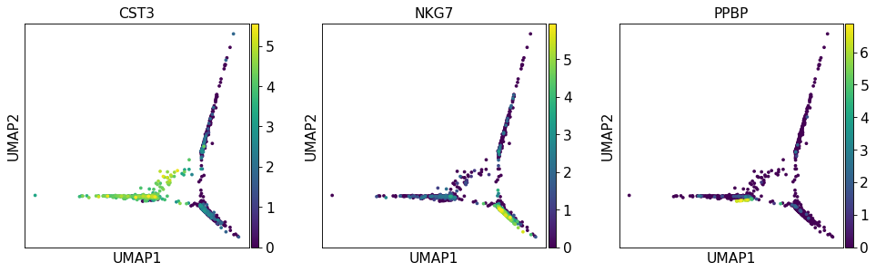 Wrong UMAP output · Issue #2101 · scverse/scanpy · GitHub