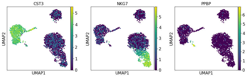 Wrong UMAP output · Issue #2101 · scverse/scanpy · GitHub