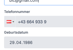 wrong display on mobile phones · Issue #371 · bl00mber/react-phone-input-2 · GitHub