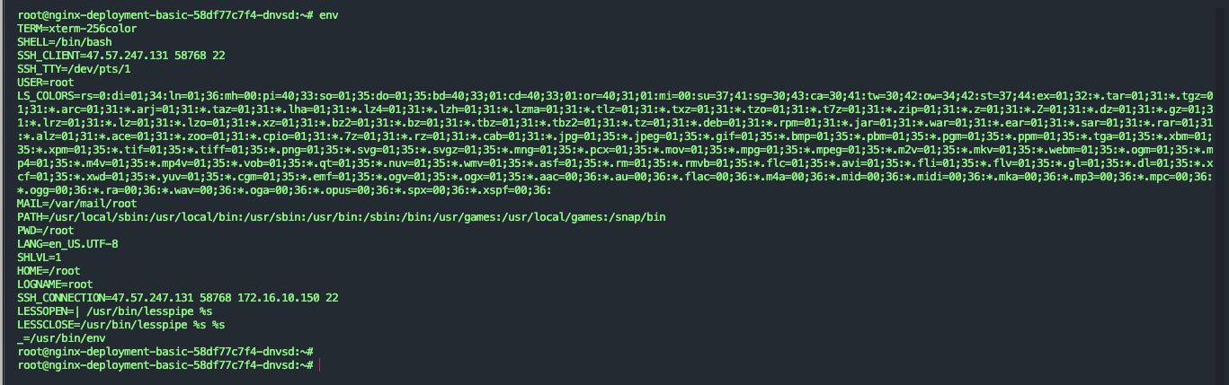 I ssh into the pod unable to get the variable of the pod custom ...