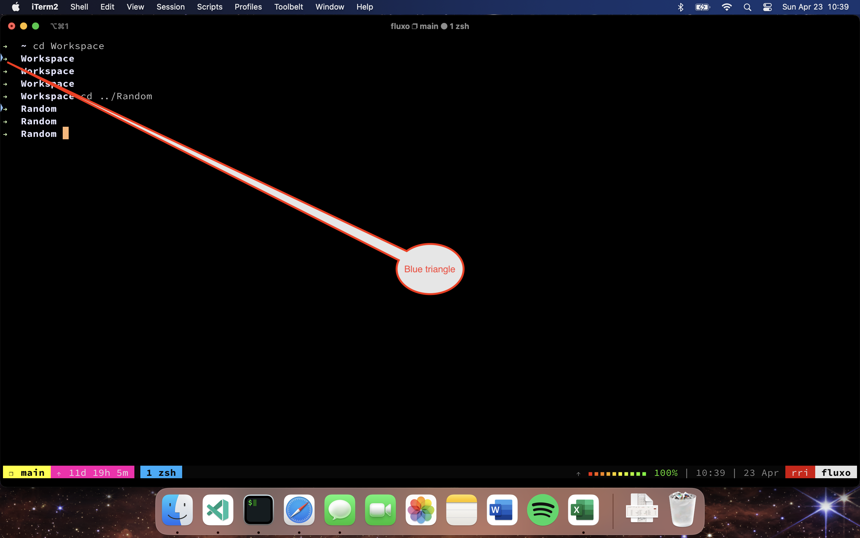 Blue triangle / artifact rendered after every `cd` · Issue #11637 · ohmyzsh/ohmyzsh · GitHub