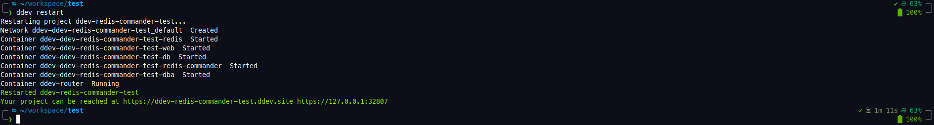 [FEATURE REQUEST] : decrease the health check timeout · Issue #7 · ddev/ddev-redis-commander ...