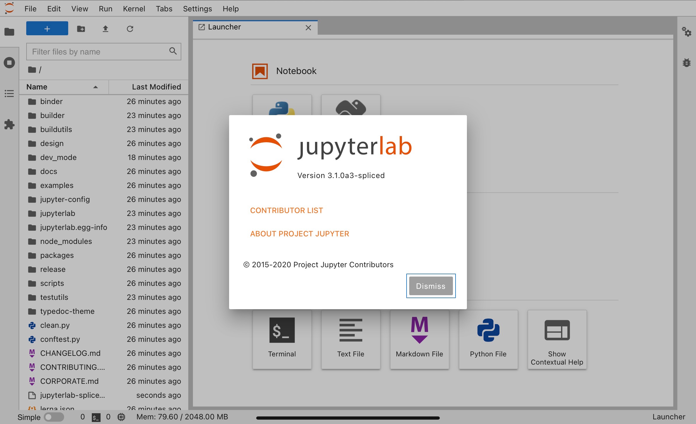 Add Ability Use Source Directories in App Dir by afshin · Pull Request #10024 · jupyterlab ...