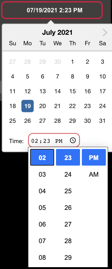 Default Dropdown Clock Still Appears On Custom Input · Issue 3098 