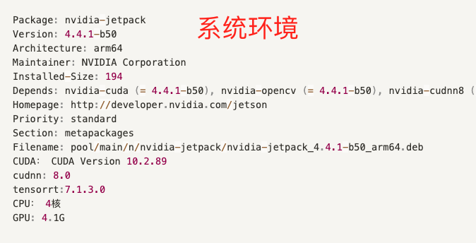 jetson nano 推理阶段显存过高 predict_system显存占用大于predict_rec · Issue #7533 · PaddlePaddle/PaddleOCR · GitHub