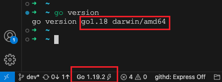 choose go environment doesn't switch go version any more · Issue #2864 · golang/vscode-go · GitHub
