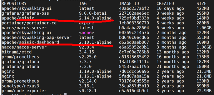 bug: when using skywaking plugin, the proxy-rewrite plugin will become invalid · Issue #7288 ...