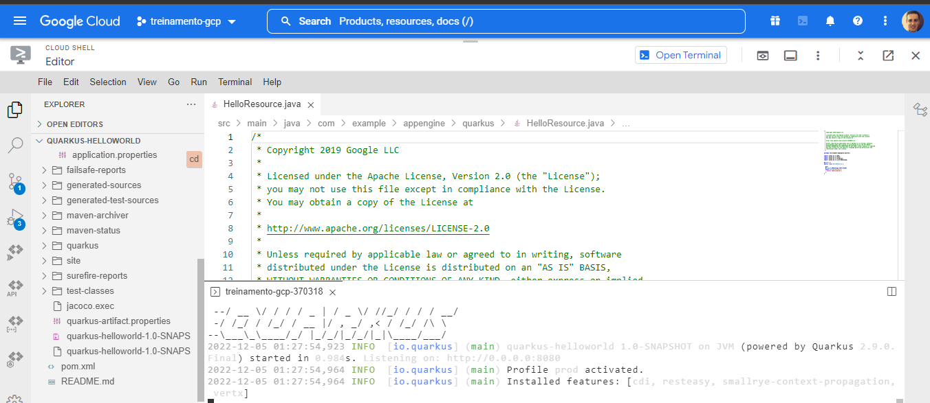 GitHub - REGINALDOLEMELEME/GCP-CloudShell-implements