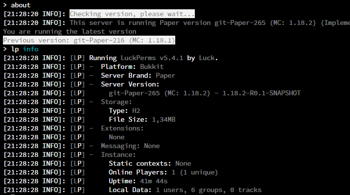Console color 'fix' breaks console colors · Issue #7596 · PaperMC/Paper · GitHub