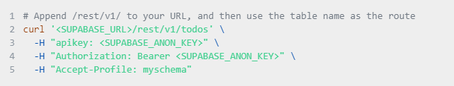 Description About Using Custom Schemas Is Not Completed · Issue 