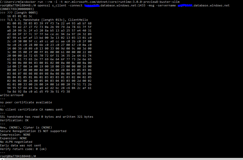 Regression in System.Data.SqlClient >= 4.7.0-preview7 on Docker · Issue #30645 · dotnet/runtime ...