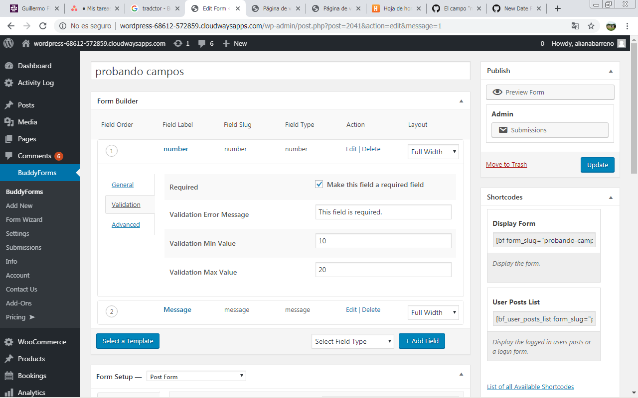 The field "number" does not perform a correct validation in the minimum value entered. · Issue ...