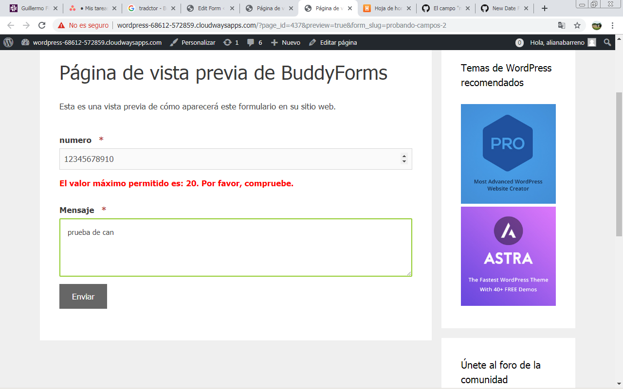 The field "number" does not perform a correct validation in the minimum value entered. · Issue ...