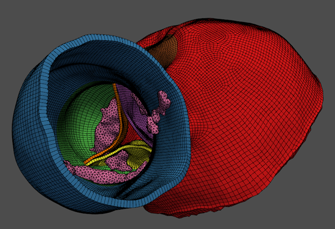 GitHub - danpak94/Deep-Cardiac-Volumetric-Mesh