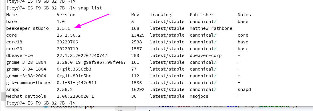 BUG: always loading · Issue #1331 · beekeeper-studio/beekeeper-studio · GitHub